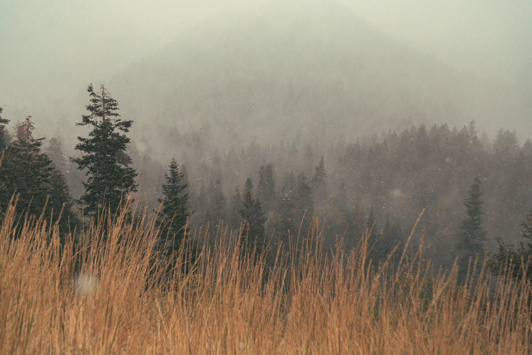 Digital Downloads – BTeamCo